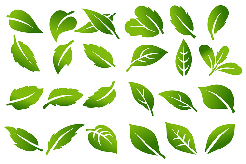 Conception De Logo De Jeu Dicônes Vectorielles De Feuilles Darbre