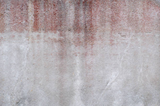 Limewash Pictures | Download Free Images on Unsplash