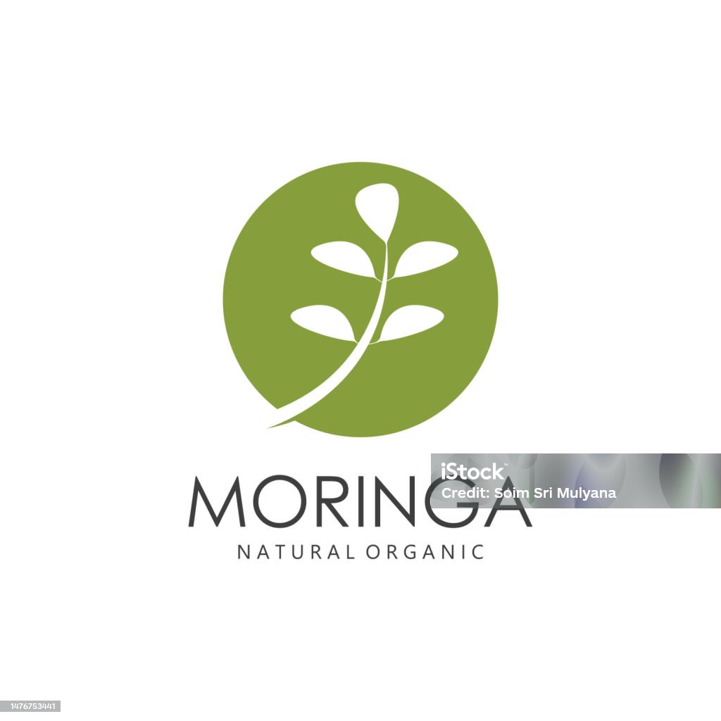 Template Logo Daun Kelor Alami Hijau Diisolasi Dengan Latar Belakang