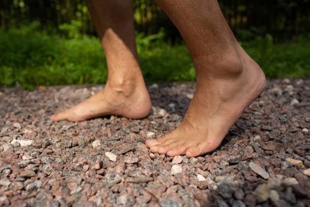 Free picture: Barefoot person walking in forest with close-up of feet ...