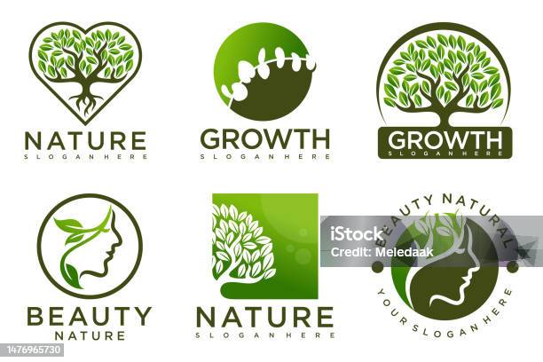 Conception De Lensemble Dicônes Du Logo De Larbre Modèle De Symboles