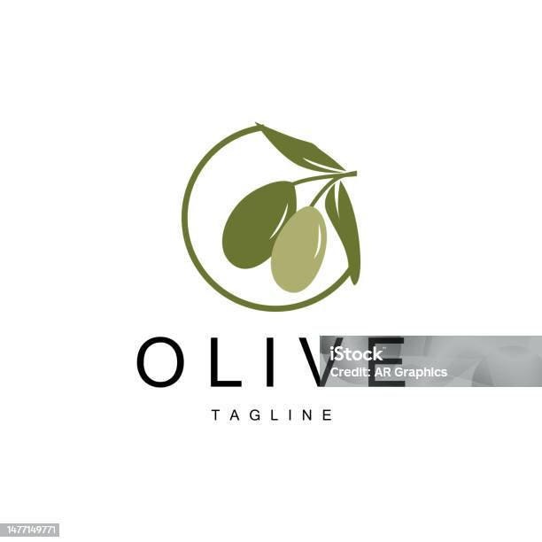 Logo Zaitun Vektor Tanaman Minyak Zaitun Desain Obat Kesehatan Herbal