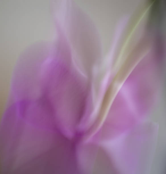 Intentional Pictures | Download Free Images on Unsplash