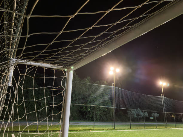 Free picture: soccer, field, spotlight, stadium, lawn, lights, night ...