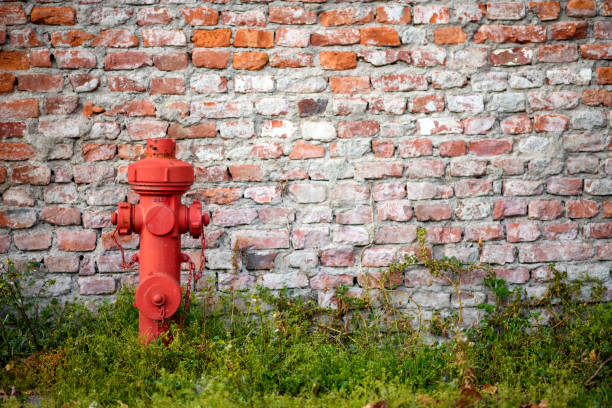 Free Stock Photo of Brown Brick Wall With Red Fire Hydrant | Download ...