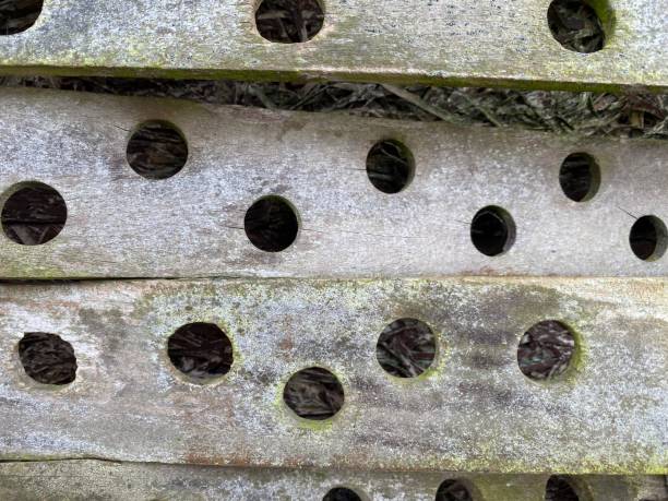 Free picture: texture, pattern, retro, old, wooden, wall, hole