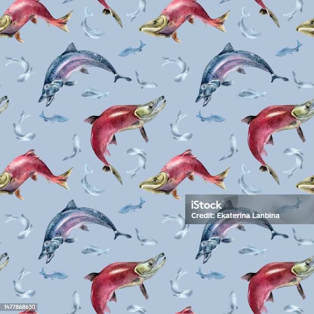 Motif Homogène De Saumon Coho Illustration Daquarelle Kéta Isolée Sur