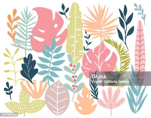 Vector Tropical Leaves Tropical Design Stock Illustration Download