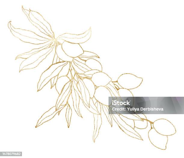 Carte Aquarelle Dolives Dorées De Branches Et De Feuilles Dessin Au