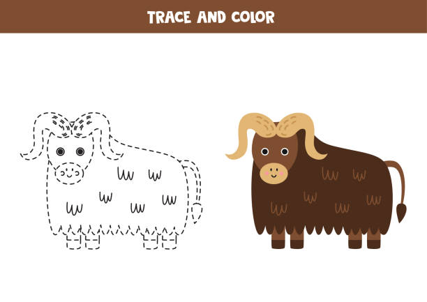 Musk Ox Coloring Page