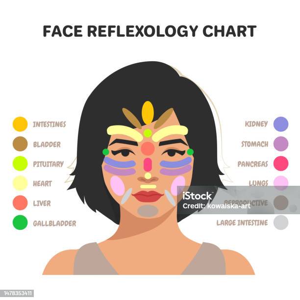Face Reflexology Chart Inner Organs Massage Areas Body Parts向量圖形及更多健保和