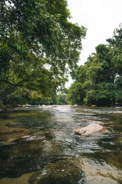 Sungai Pictures | Download Free Images on Unsplash