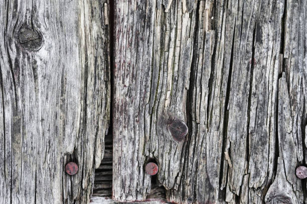 Degraded Pictures | Download Free Images on Unsplash