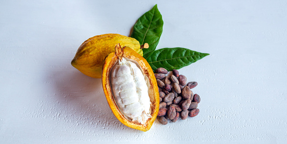 Photo libre de droit de Gros Plan De Cabosses De Cacao Fraîches Mûres ... Photo libre de droit de Gros Plan De Cabosses De Cacao Fraîches Mûres ...