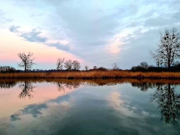 Free picture: shore, sun, sunset, lakeside, dawn, lake, reflection ...