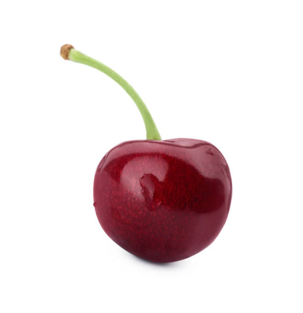 10,000+ Free Cherry & Cherry Blossom Images - Pixabay