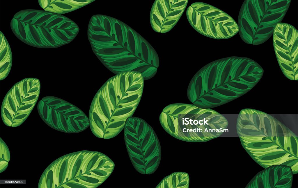 Seamless Pattern With Tropical Leaves Botanical Illustration Vector