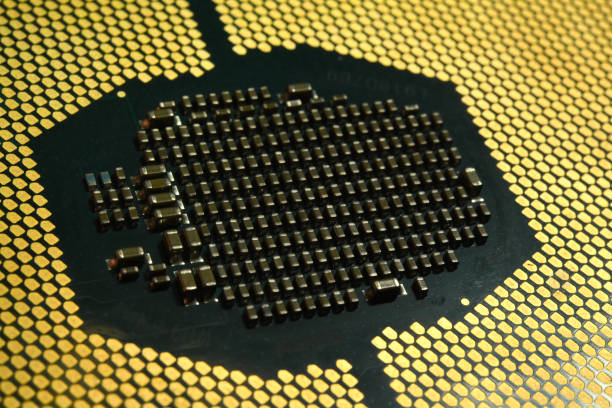 Free Stock Photo of Close-up of a CPU showing gold pins and intricate ...