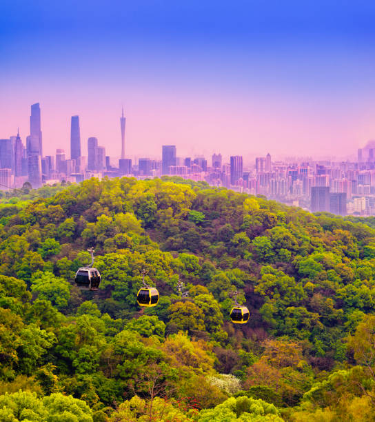 Canton Tower Pictures | Download Free Images on Unsplash