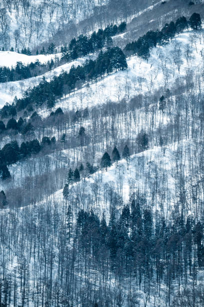 Hakuba Pictures | Download Free Images on Unsplash