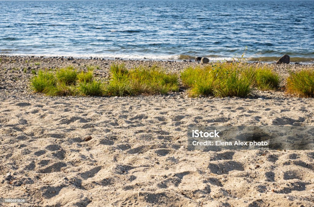 Grass Sand Dune Beach Sea View View On Small Sand Dune With Green Grass