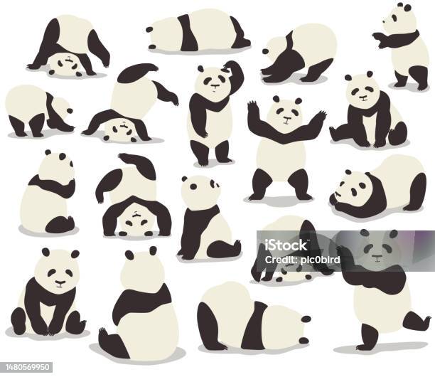 Сute Pandas In Different Poses Stock Illustration Download Image Now