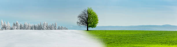Free seasonal change stock photos. Download the best free seasonal ...