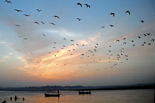 Sangam Prayagraj Fotos Baixe Imagens Gratuitas Na Unsplash