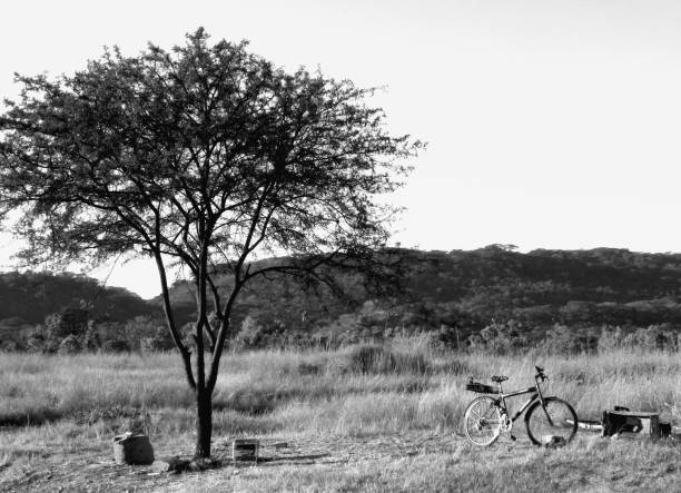 Free picture: image, Zimbabwe, countryside