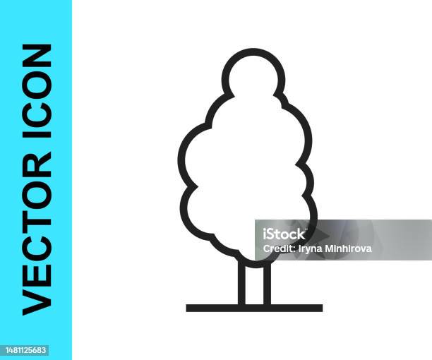 Icône Darbre Ligne Noire Isolée Sur Fond Blanc Symbole De La Forêt