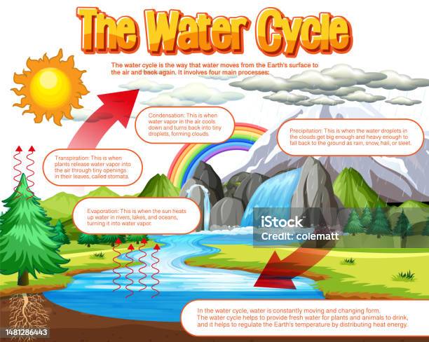 Diagram Siklus Air Untuk Pendidikan Sains Ilustrasi Stok Unduh Gambar