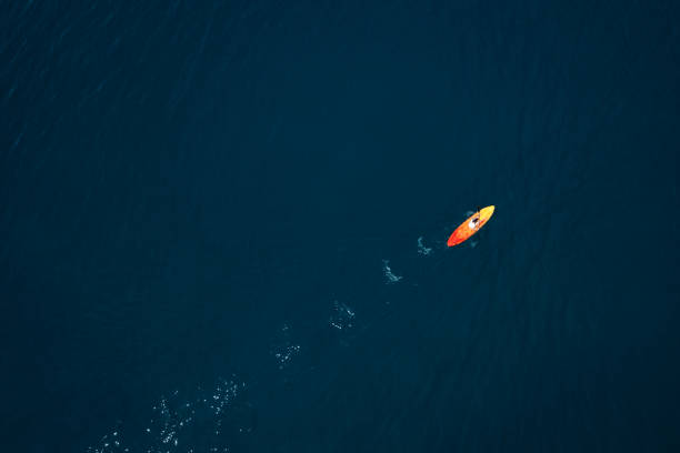 5,800+ Rowers Aerial View Stock Photos, Pictures & Royalty-Free Images ... 5,800+ Rowers Aerial View Stock Photos, Pictures & Royalty-Free Images ...