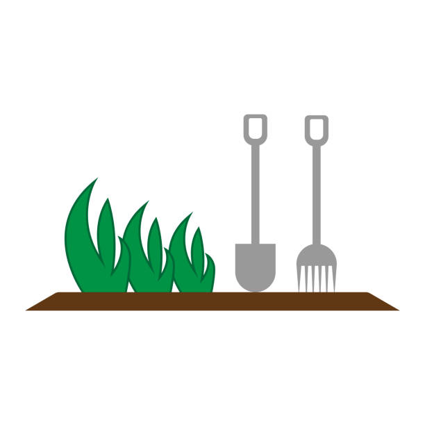 80+ Cutting Tree Backyard Illustrations, Royalty-Free Vector Graphics ... 80+ Cutting Tree Backyard Illustrations, Royalty-Free Vector Graphics ...