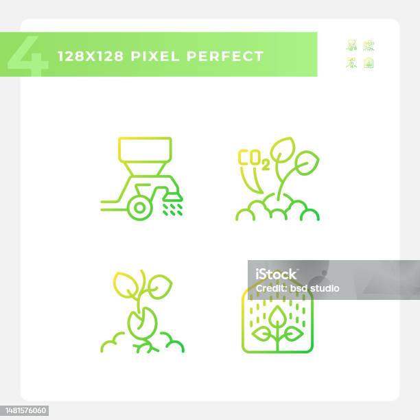 Set Ikon Vektor Linier Gradien Pengembangan Tanaman Ilustrasi Stok ... Set Ikon Vektor Linier Gradien Pengembangan Tanaman Ilustrasi Stok ...