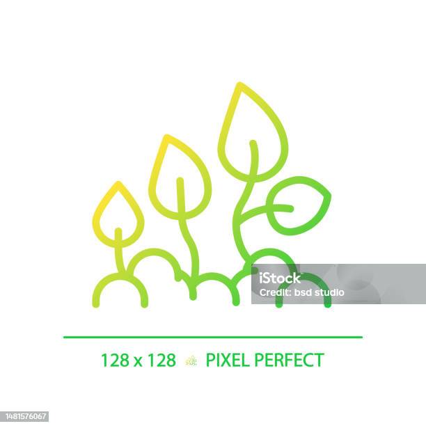 Ikon Vektor Linier Gradien Pengembangan Tanaman Ilustrasi Stok - Unduh ... Ikon Vektor Linier Gradien Pengembangan Tanaman Ilustrasi Stok - Unduh ...