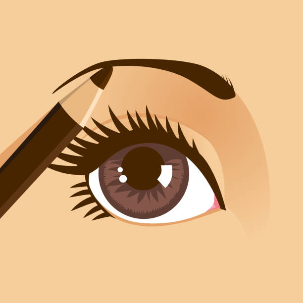 Eyebrow Clip Art