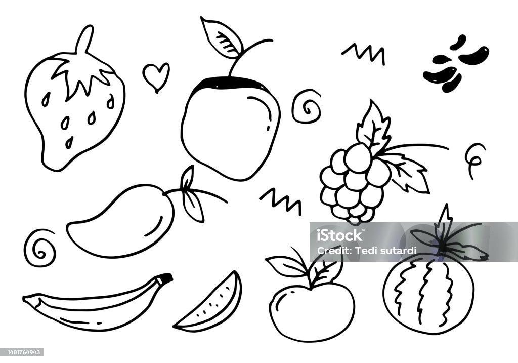Set Buah Doodle Gambar Tangan Buahbuahan Dalam Gaya Yang Berbeda