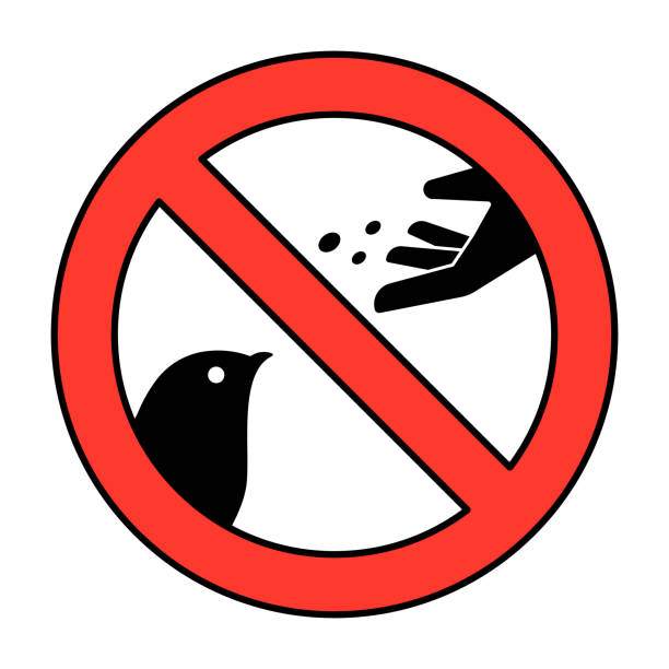 50+ Dont Feed The Birds Sign Stock Photos, Pictures & Royalty-Free ... 50+ Dont Feed The Birds Sign Stock Photos, Pictures & Royalty-Free ...