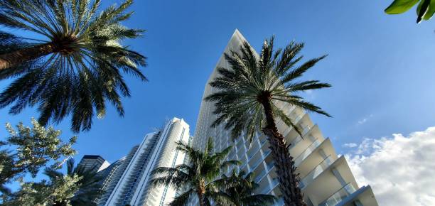Free Stock Photo of Modern High-Rise Building With Palm Trees ...