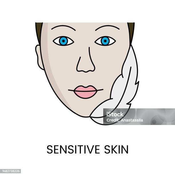 Sensible Au Vecteur Illustration Du Visage De La Femme Et De La Plume