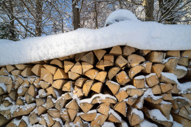 Free Stock Photo of A row of wood logs with snow on them | Download ...