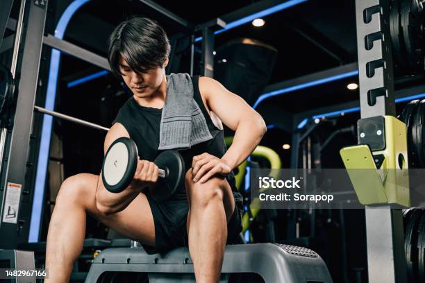 Pemuda Asia Tampan Duduk Di Bangku Latihan Sambil Memegang Dumbbell ... Pemuda Asia Tampan Duduk Di Bangku Latihan Sambil Memegang Dumbbell ...