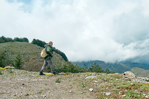 Pria Pelancong Berjanggut Dewasa Hiking Di Hutan Pegunungan Foto Stok ... Pria Pelancong Berjanggut Dewasa Hiking Di Hutan Pegunungan Foto Stok ...