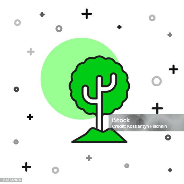 Contour Rempli Icône Darbre Isolée Sur Fond Blanc Symbole De La Forêt