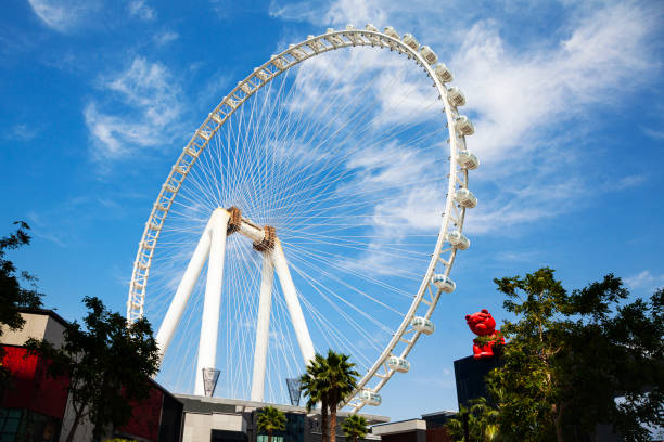 Free Stock Photo of Large Ferris Wheel Next to Palm Tree | Download ...
