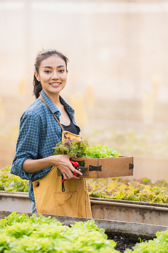 Keranjang Dengan Sayuran Segar Wanita Petani Asia Memegang Kotak Kayu ... Keranjang Dengan Sayuran Segar Wanita Petani Asia Memegang Kotak Kayu ...
