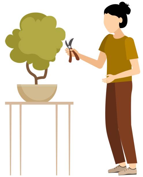 110+ Cutting Tree Backyard Stock Illustrations, Royalty-Free Vector ... 110+ Cutting Tree Backyard Stock Illustrations, Royalty-Free Vector ...