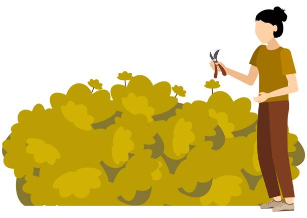 120+ Cutting Tree Backyard Stock Illustrations, Royalty-Free Vector ... 120+ Cutting Tree Backyard Stock Illustrations, Royalty-Free Vector ...