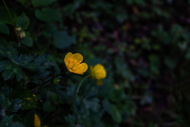 Verna Pictures | Download Free Images on Unsplash