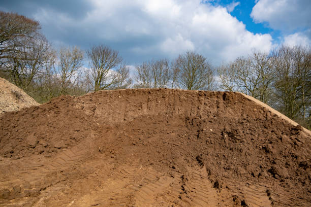 Free Stock Photo of Group of Dirt Mounds in Field | Download Free ...